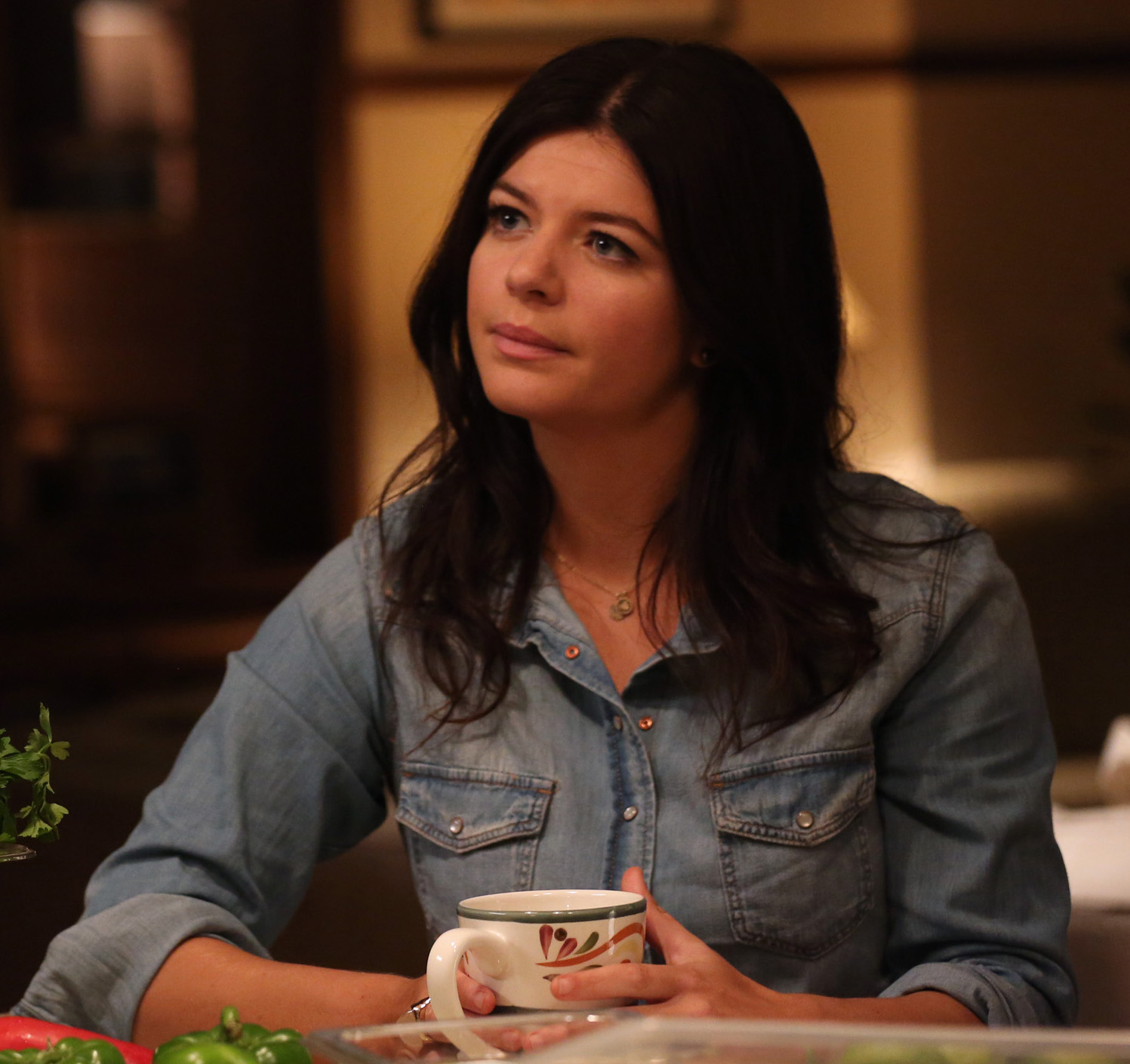 WornOnTV: Penny’s chambray shirt on Happy Endings | Casey Wilson ...