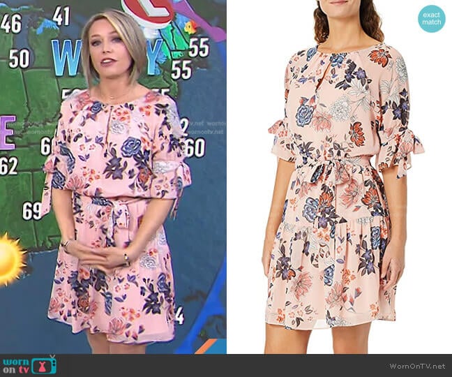 WornOnTV: Dylan’s pink floral tie sleeve dress on Today | Dylan Dreyer ...