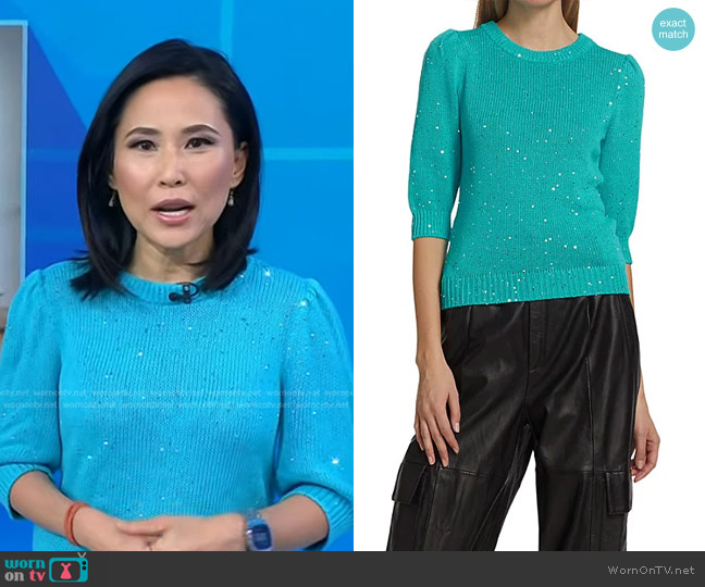 WornOnTV: Vicky’s blue sequin sweater on Today | Vicky Nguyen | Clothes ...