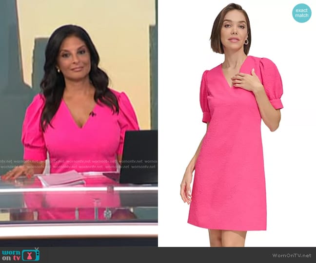WornOnTV: Darlene’s pink textured puff sleeve dress on Today | Darlene ...